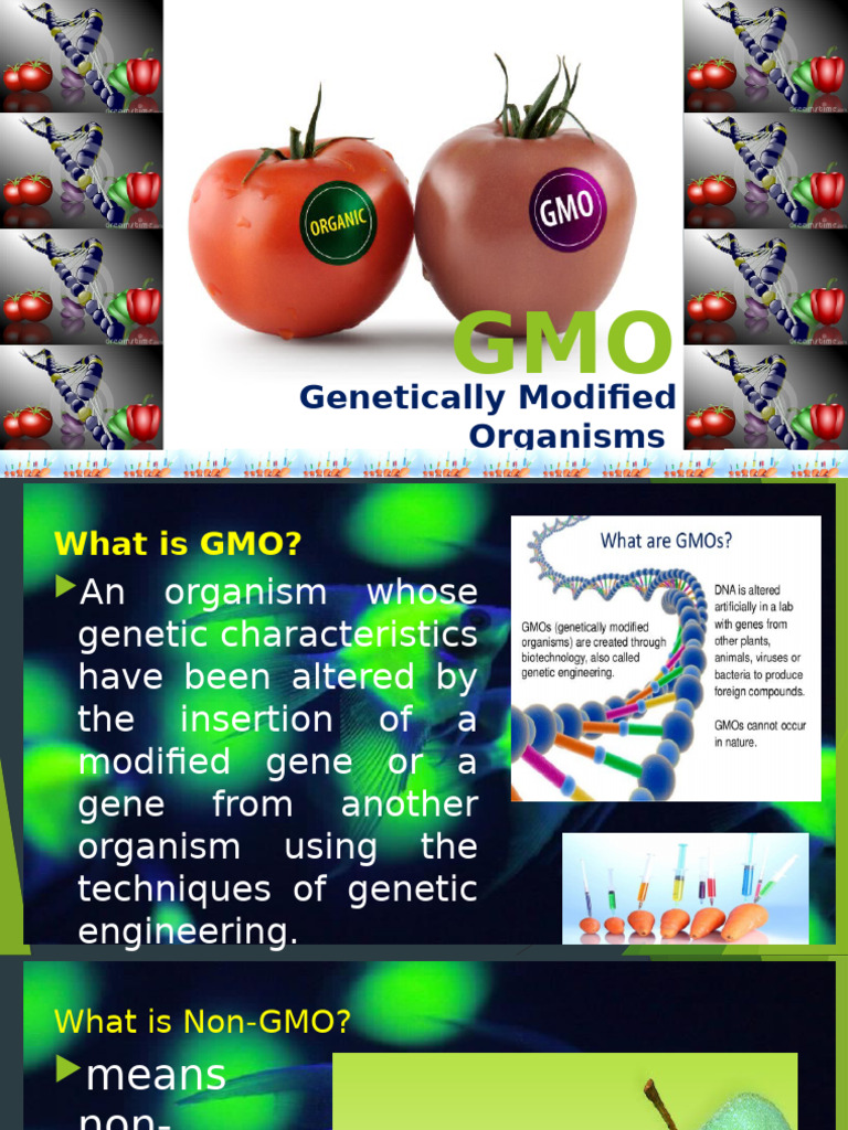MJ Gmo | PDF