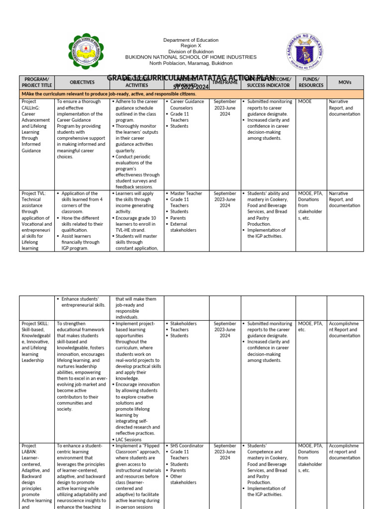 Grade 11 Action Plan Final | PDF