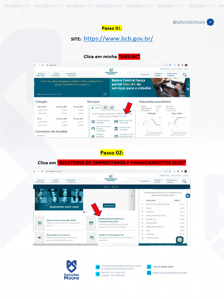 01 - Passo A Passo de Como Fazer Consulta Bacen - CCF | PDF