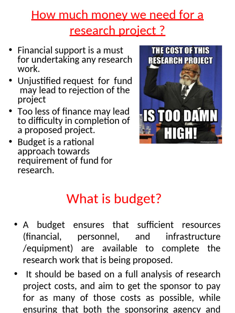 How Much Money We Need For A Research Project ? | PDF