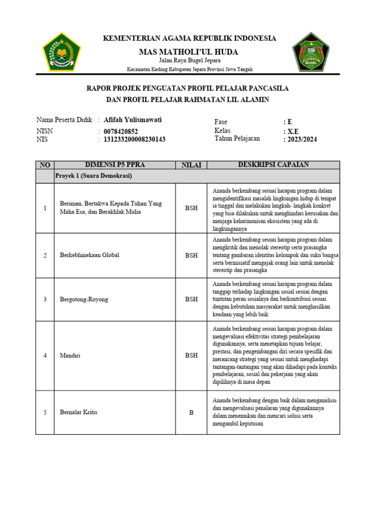 Raport P5RA | PDF