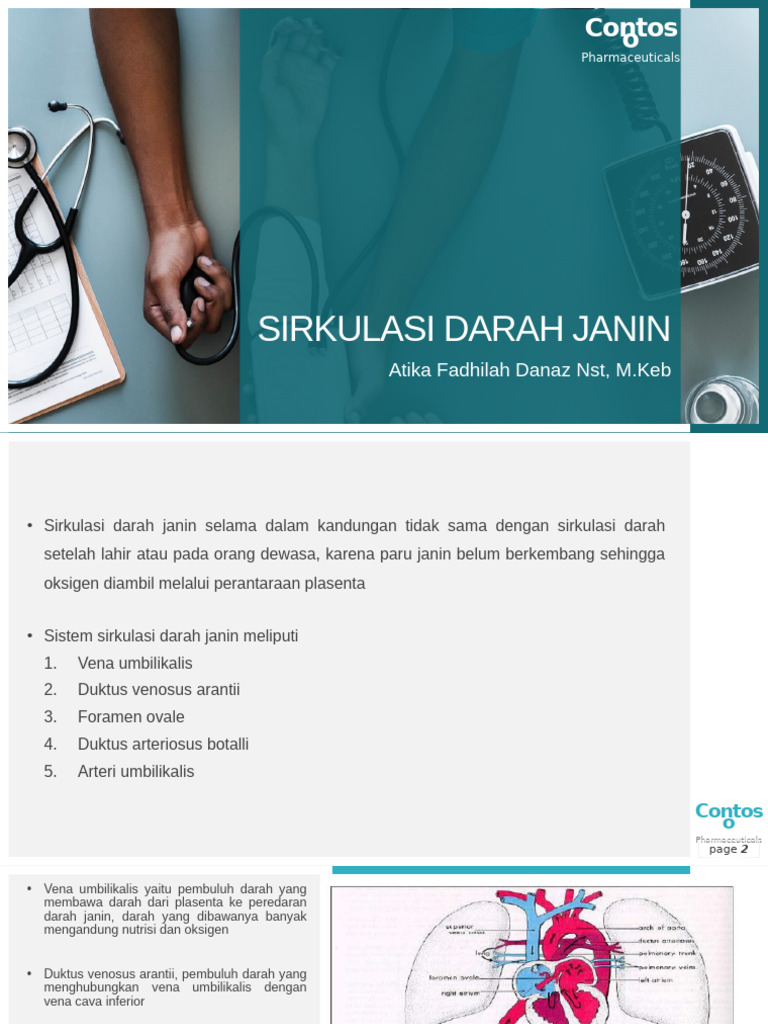 Sirkulasi Darah Janin | PDF