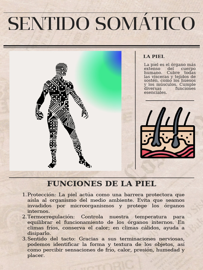 Sentido somático | PDF