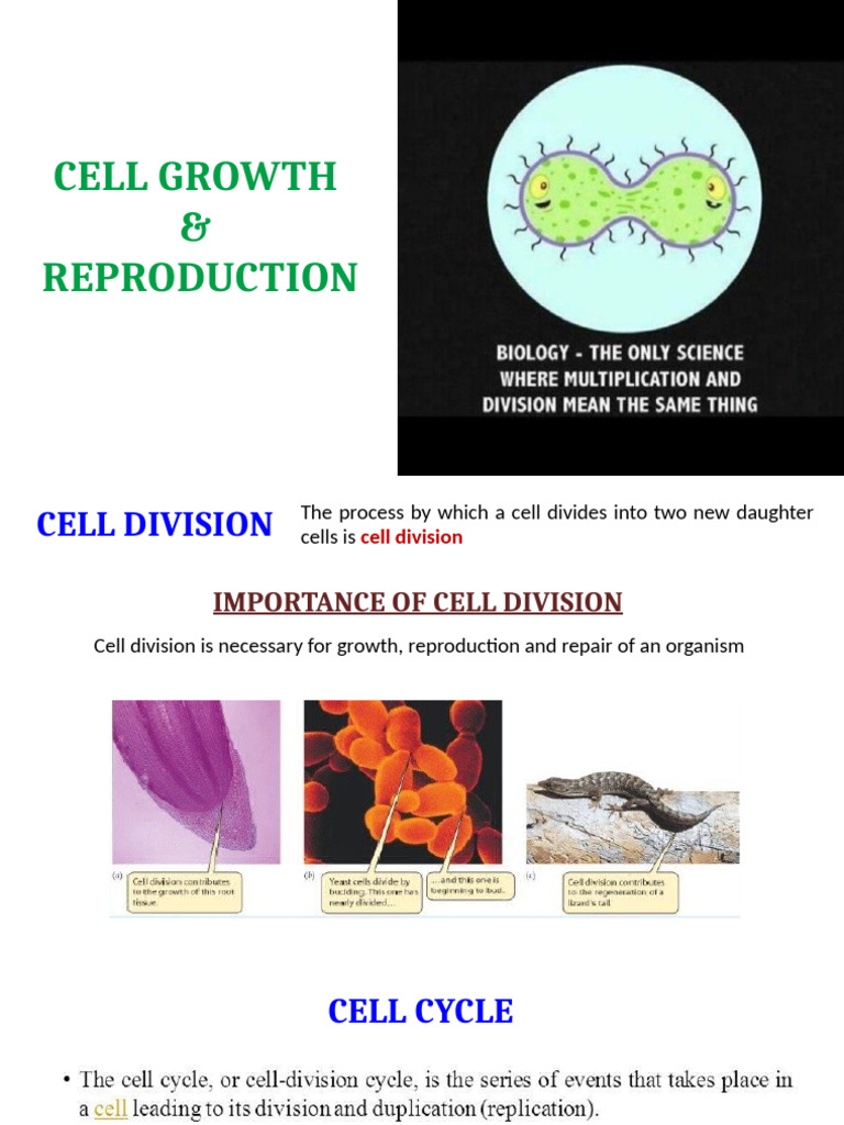Cell Growth and Reproduction | PDF
