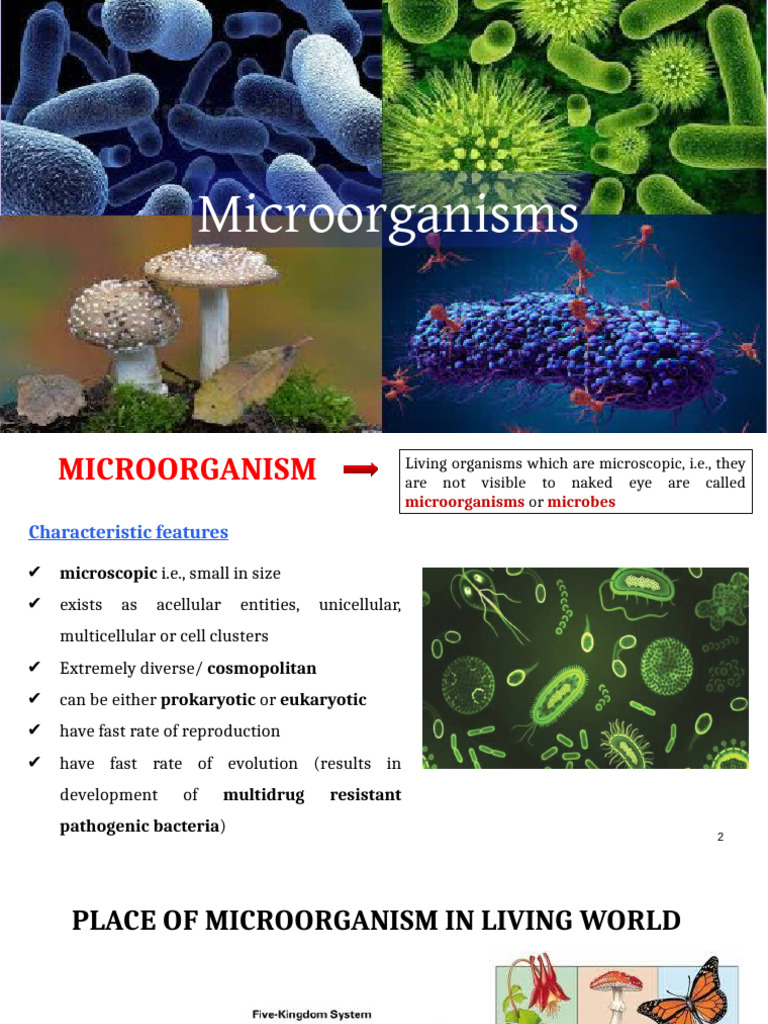 Microbes | PDF