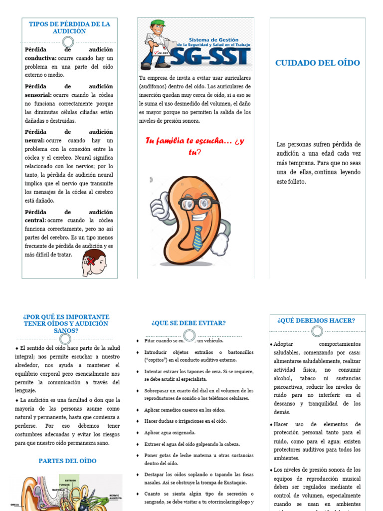 Cuidado Del Oido | PDF