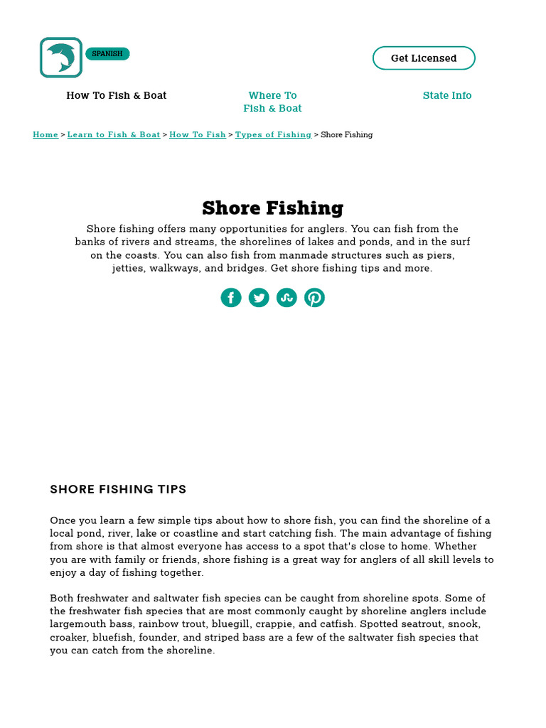 Tips On How To Shore Fish For Beginners | PDF