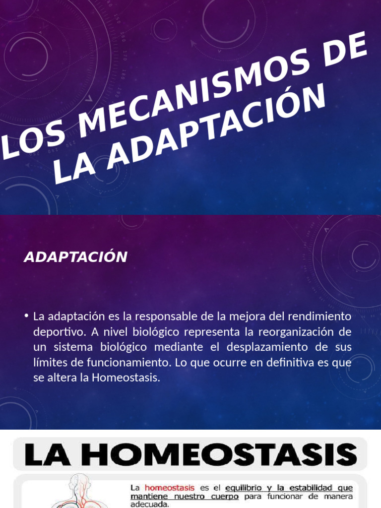Adaptación | PDF