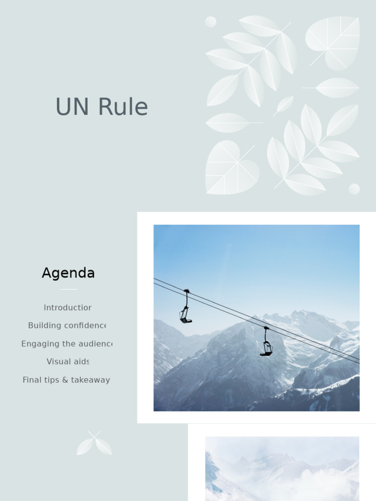 UN Rule | PDF