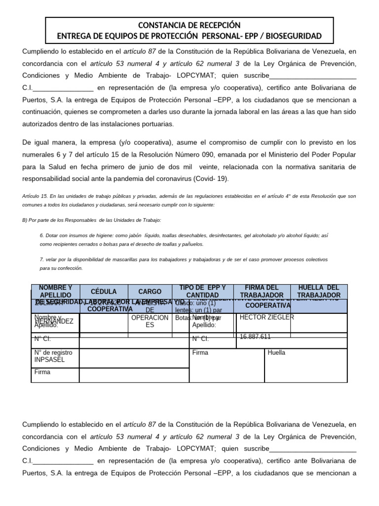 Formato de Consolidado de Entrega de EPP EMPPLEADOS | PDF