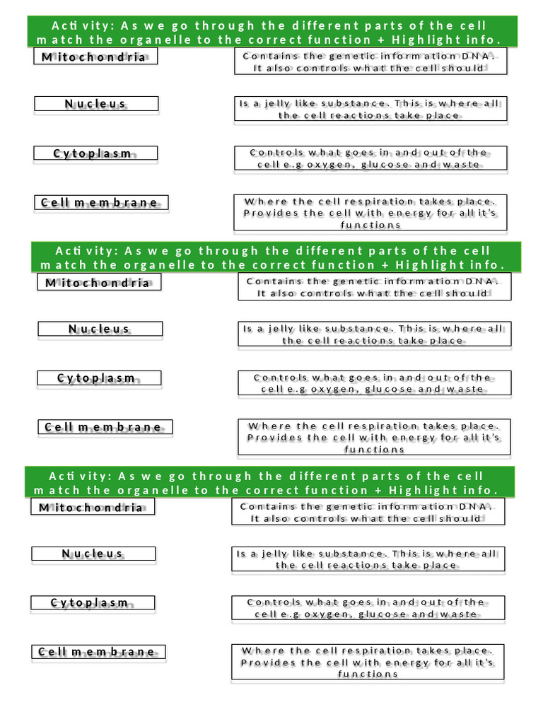 L2 Cell Structure Functions | PDF