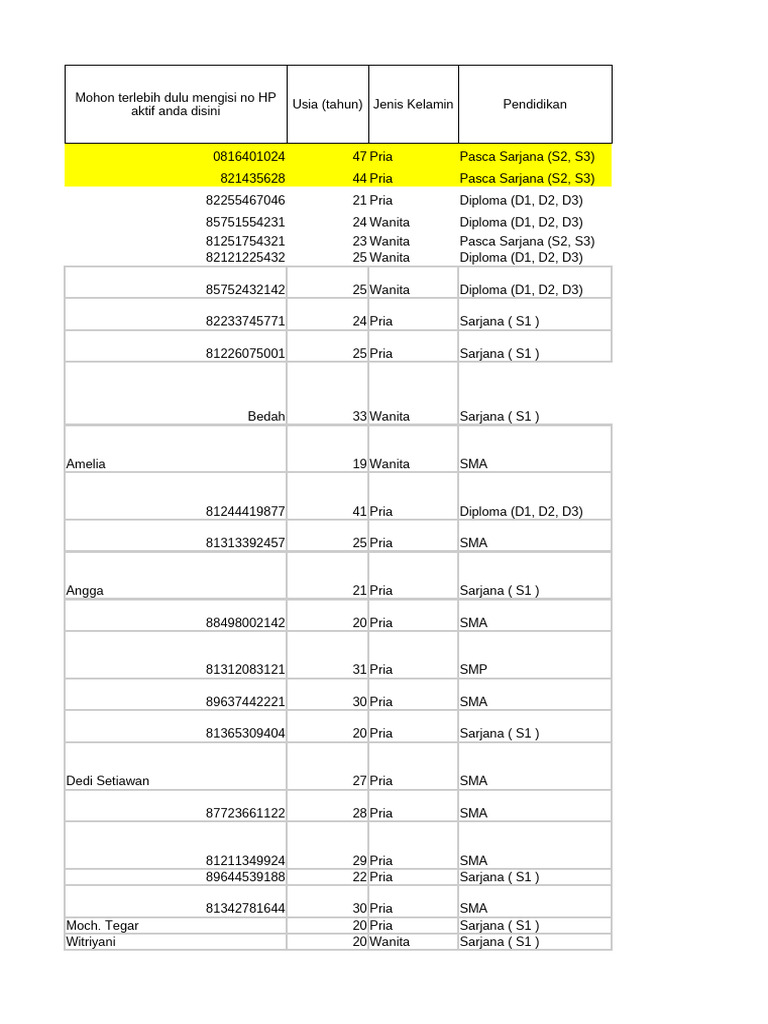 Format Pengisian KUESIONER SURVEY Pengguna | PDF
