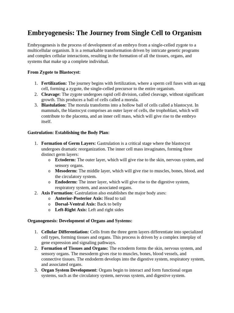 Understanding Human Embryogenesis Process | PDF | Embryo ...