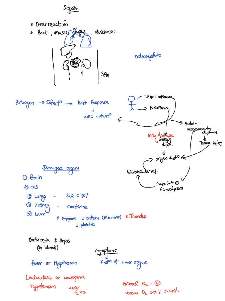 Sepsis Lecture Pdf