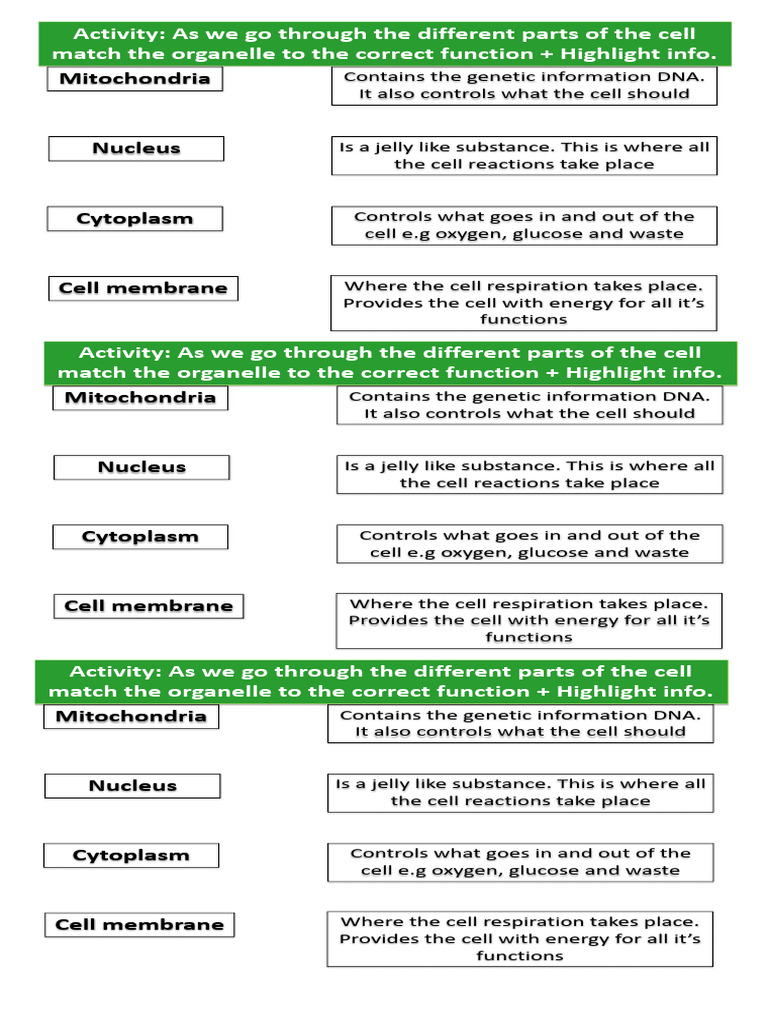 L2 Cell Structure Functions | PDF