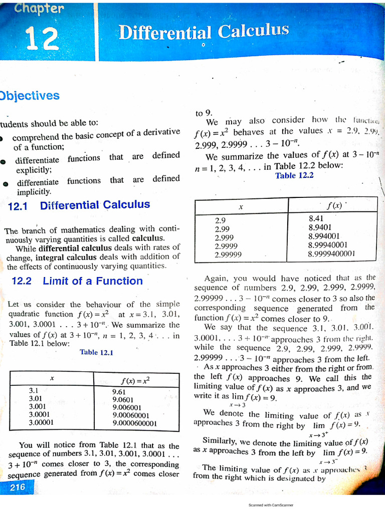 Project - Differential Calculus | PDF
