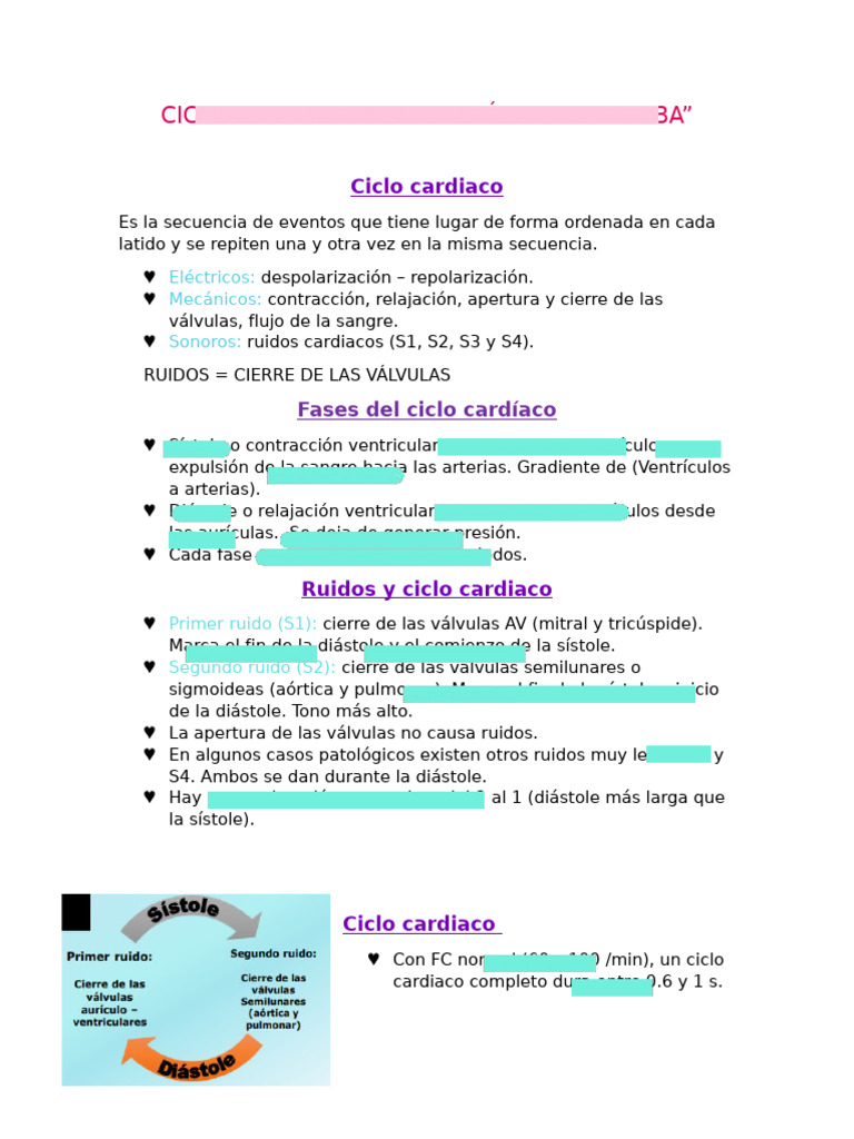 Ciclo Cardíaco: Fases y Ruidos | PDF | Corazón | Arte