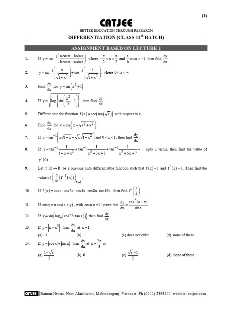 Differentiation Assignment Based On Lecture 2 | PDF