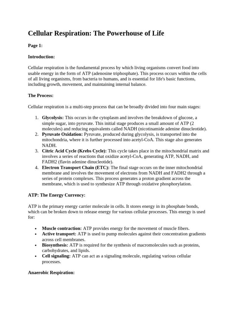 Cellular Respiration Notes | PDF | Cellular Respiration | Adenosine ...