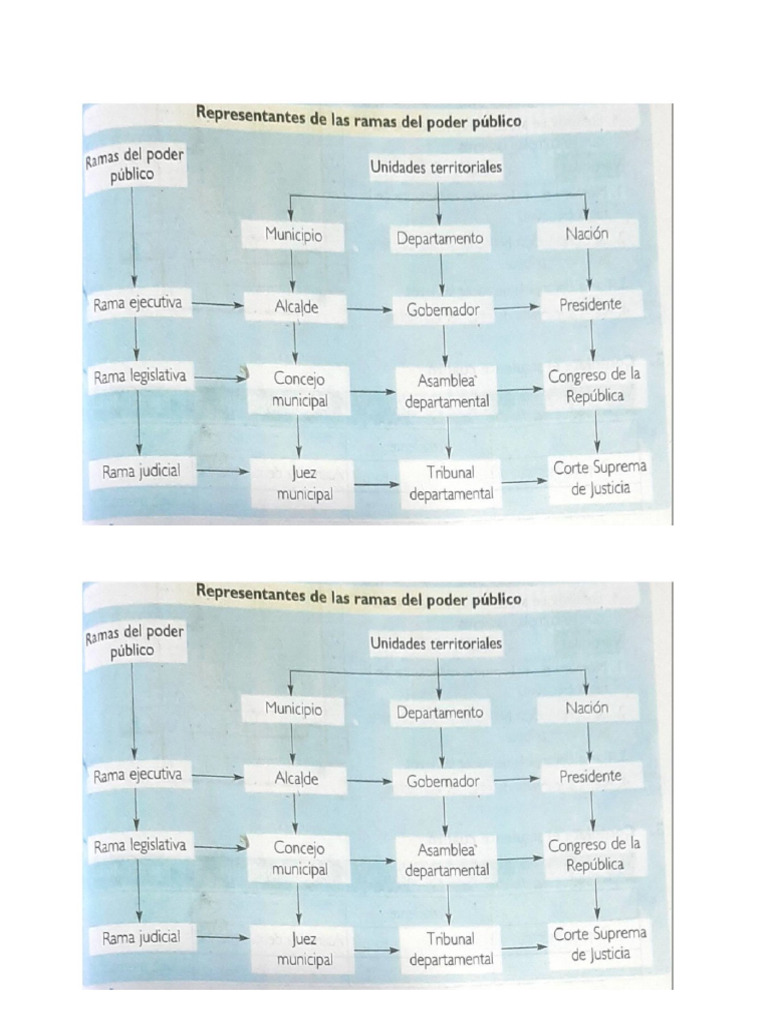 Mapa Conceptual Ramas Del Poder Público Tercero | PDF