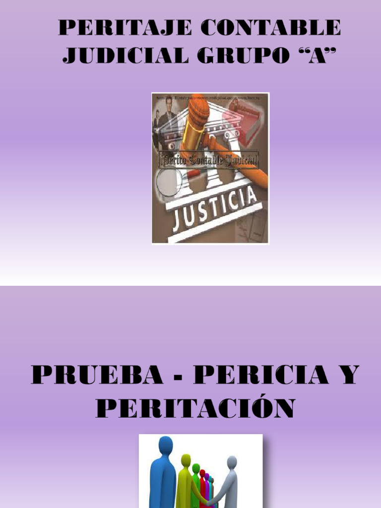 Peritaje Contable Judicial | PDF