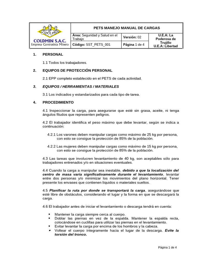 SST - Pets - 001-02 - Pets Manejo Manual de Cargas - Firmado | PDF