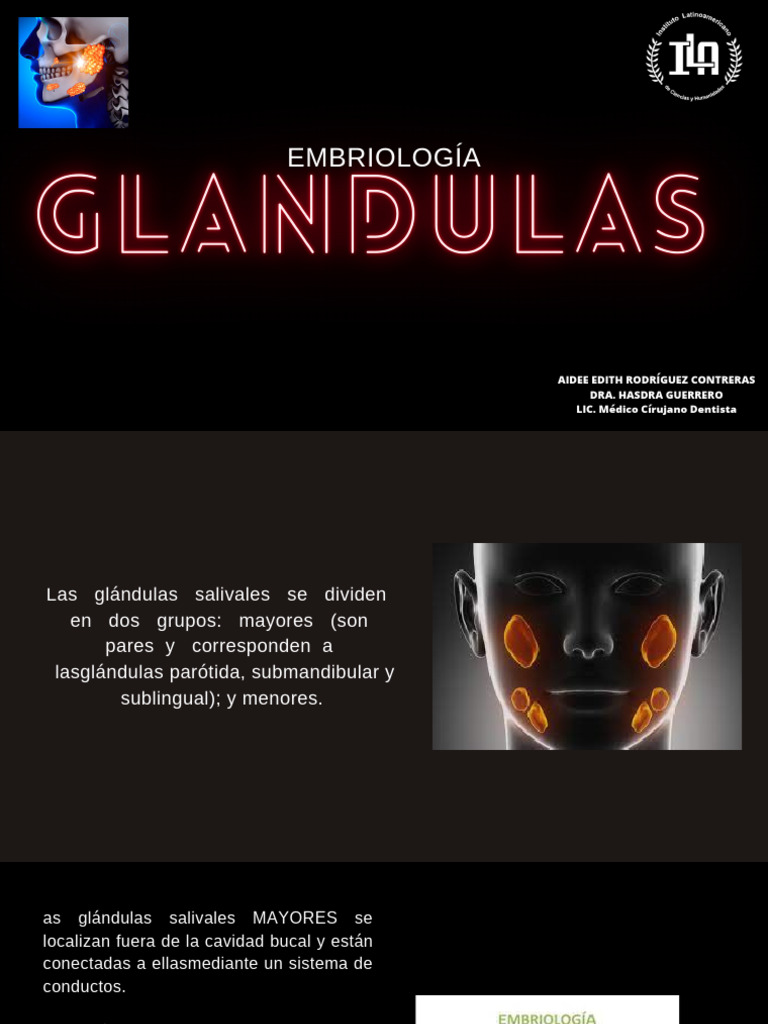 Glandulas | PDF