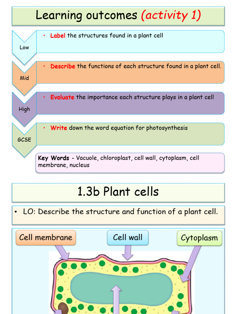 1.2b Plant Cells PP | PDF