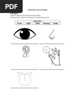 5 Senses Booklet | PDF