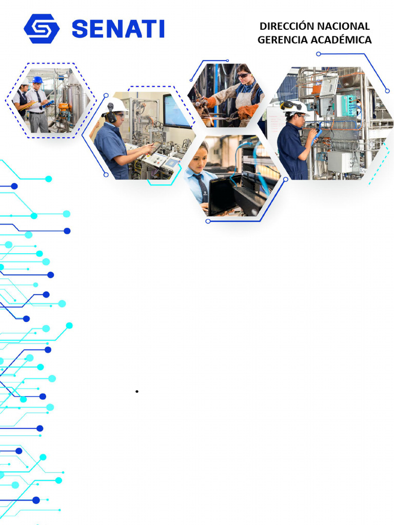 Nsid Nsid-213 Contenidos | PDF