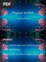 Program Flow Debut | PDF