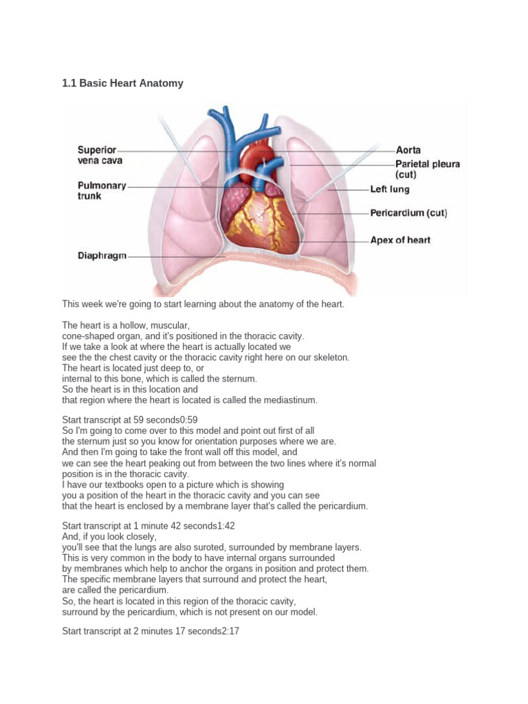 Pulse or Heart Rate | PDF