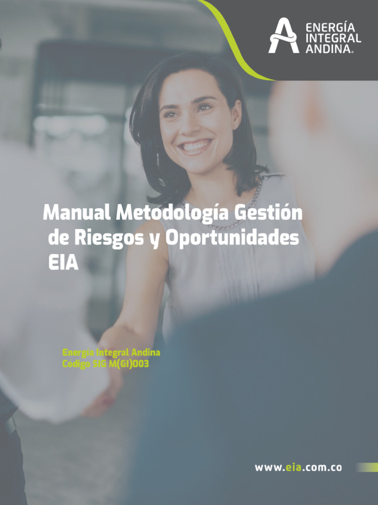 M (GI) 003 Manual Metodología Gestión de Riesgos y Oportunidades EIA v.1 | PDF