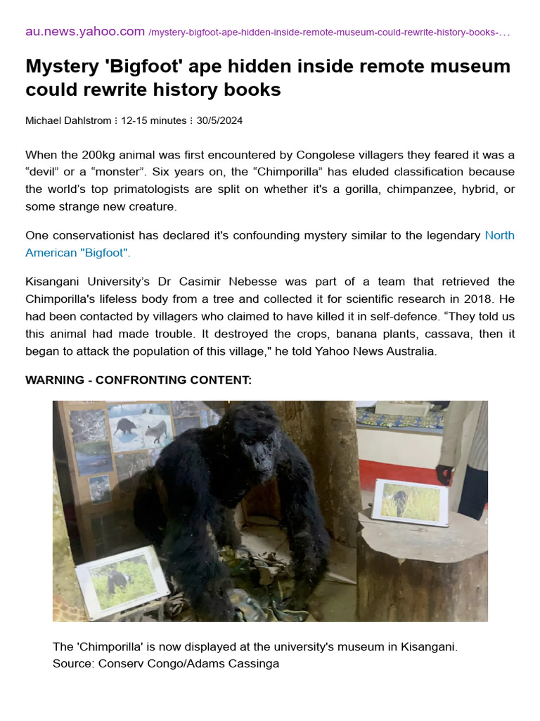 BIGFOOT Chimporilla | PDF