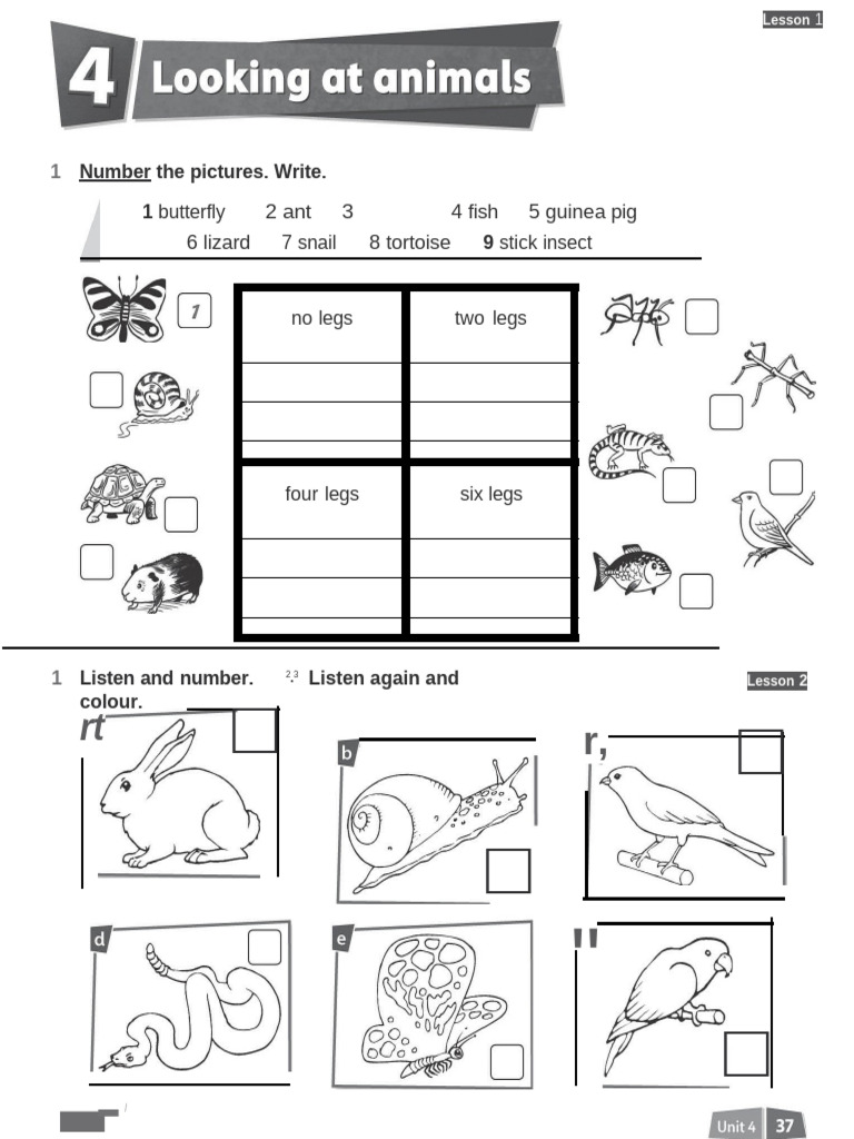 Incredible English 3 Unit 4 Book-38-47 | PDF | Mammals | Squirrel
