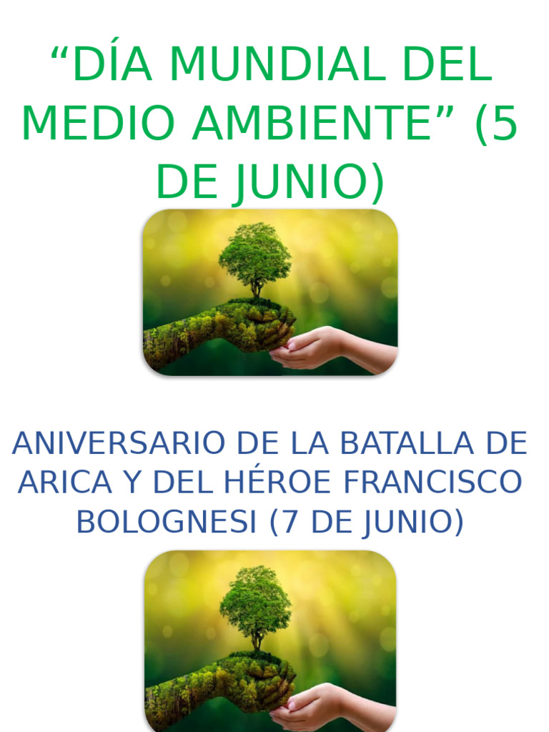 Día Mundial Del Medio Ambiente | PDF