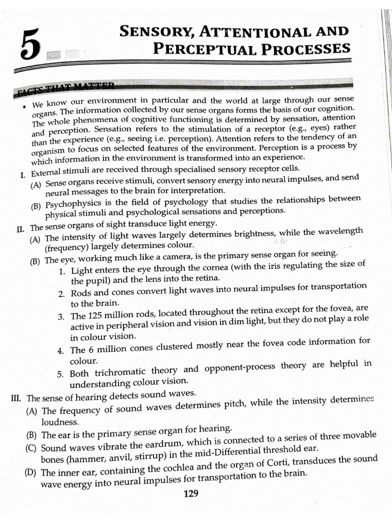 Chapter 5 Sensory, Attentional & Perceptual Processes | PDF