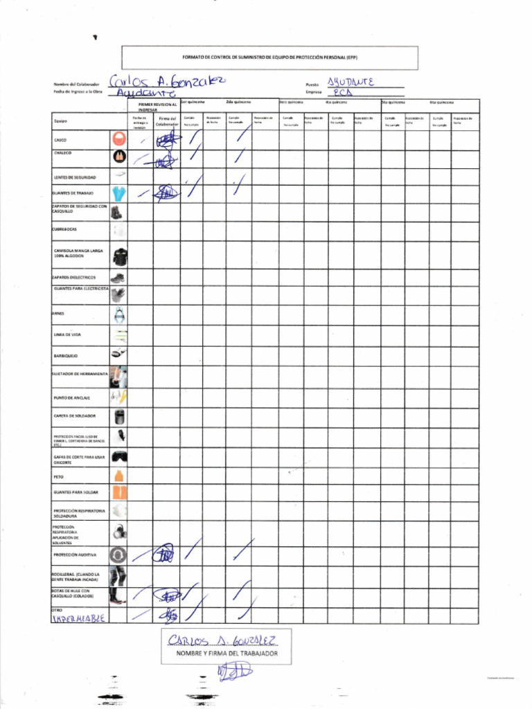 Formato de Control de EPP | PDF