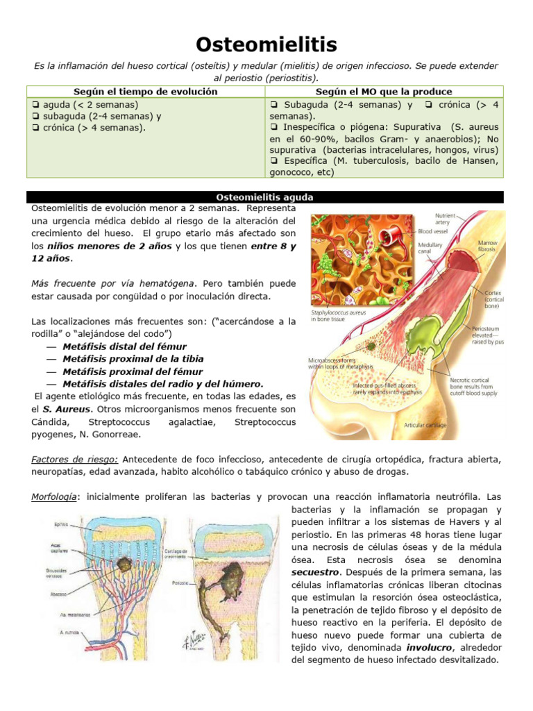 Osteomielitis Mica | PDF