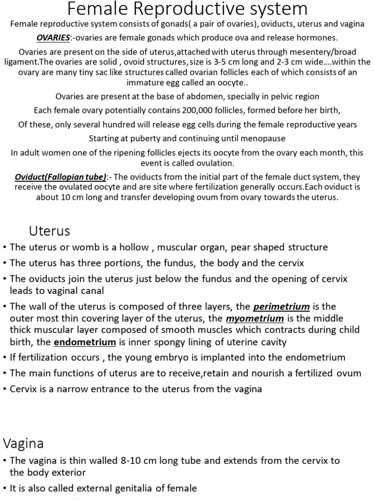 Female Reproductive System | PDF