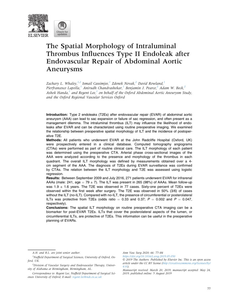 Spatial Morphology | PDF