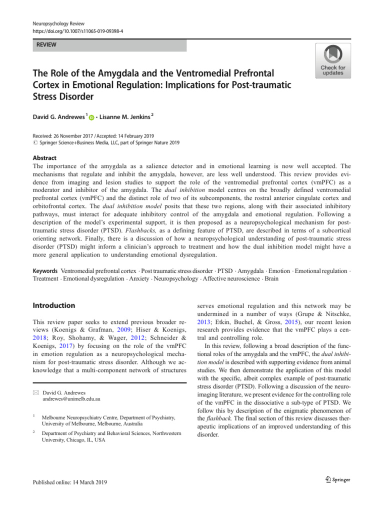 The Role Of The Amygdala And The Ventromedial Prefrontal Cortex In Emotional Regulation