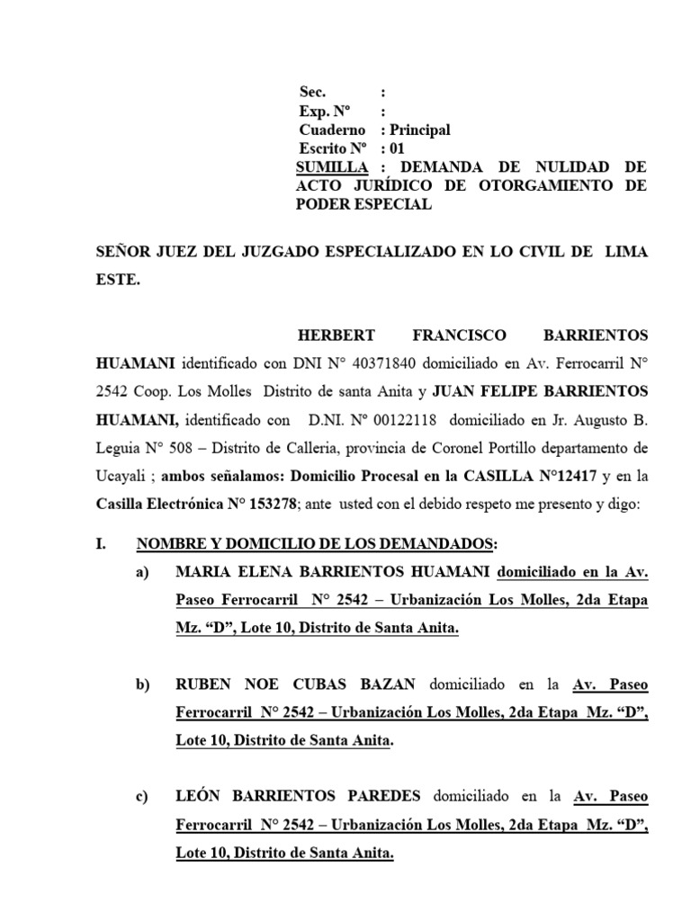 Demanda de Nulidad PDF | PDF