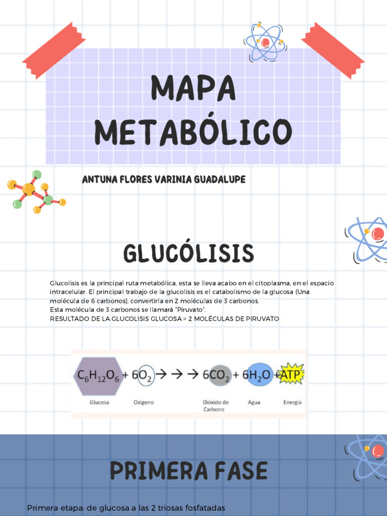 Mapa Metabólico da Glucólise e Respiração | PDF | Dieta e Nutrição ...