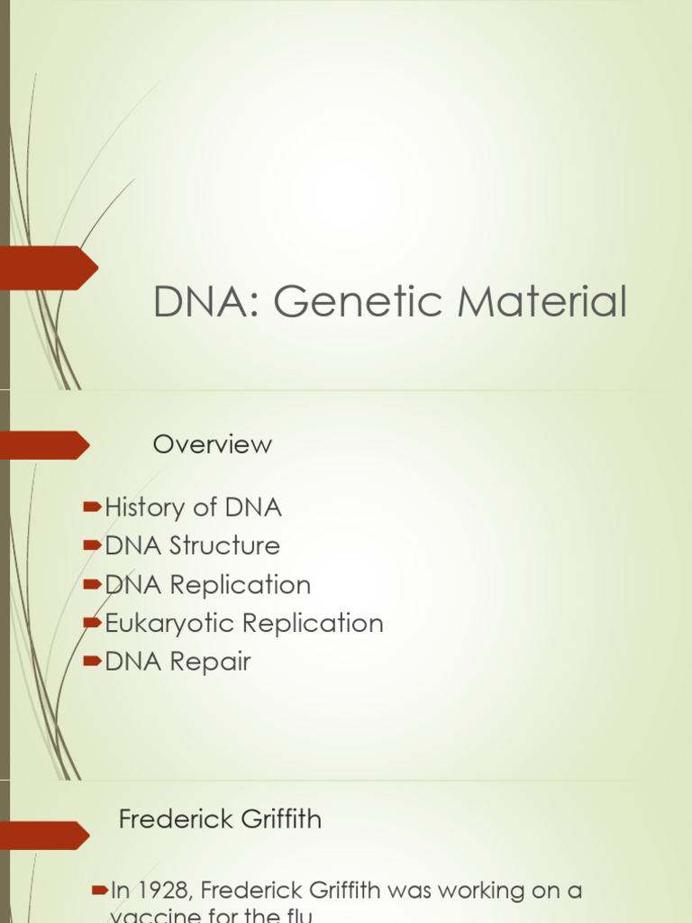 Lecture 12 - DNA Replicationv2 | PDF | Dna | Rna