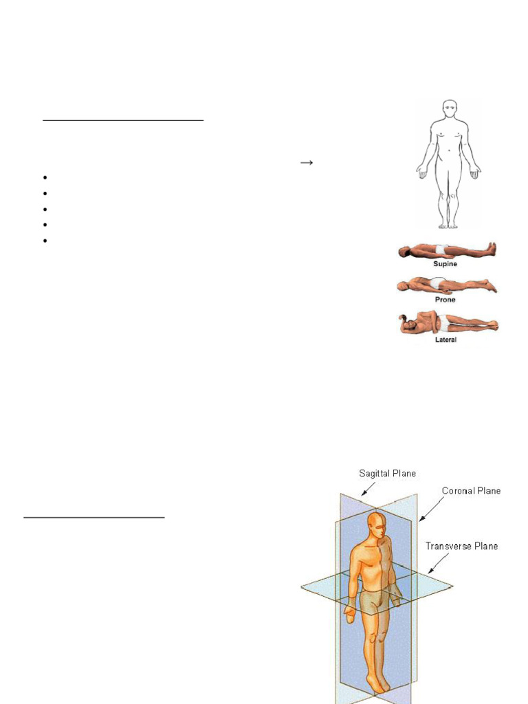General Anatomy Positions Planes | PDF