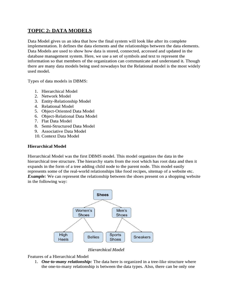 Topic 2 Data Models | PDF