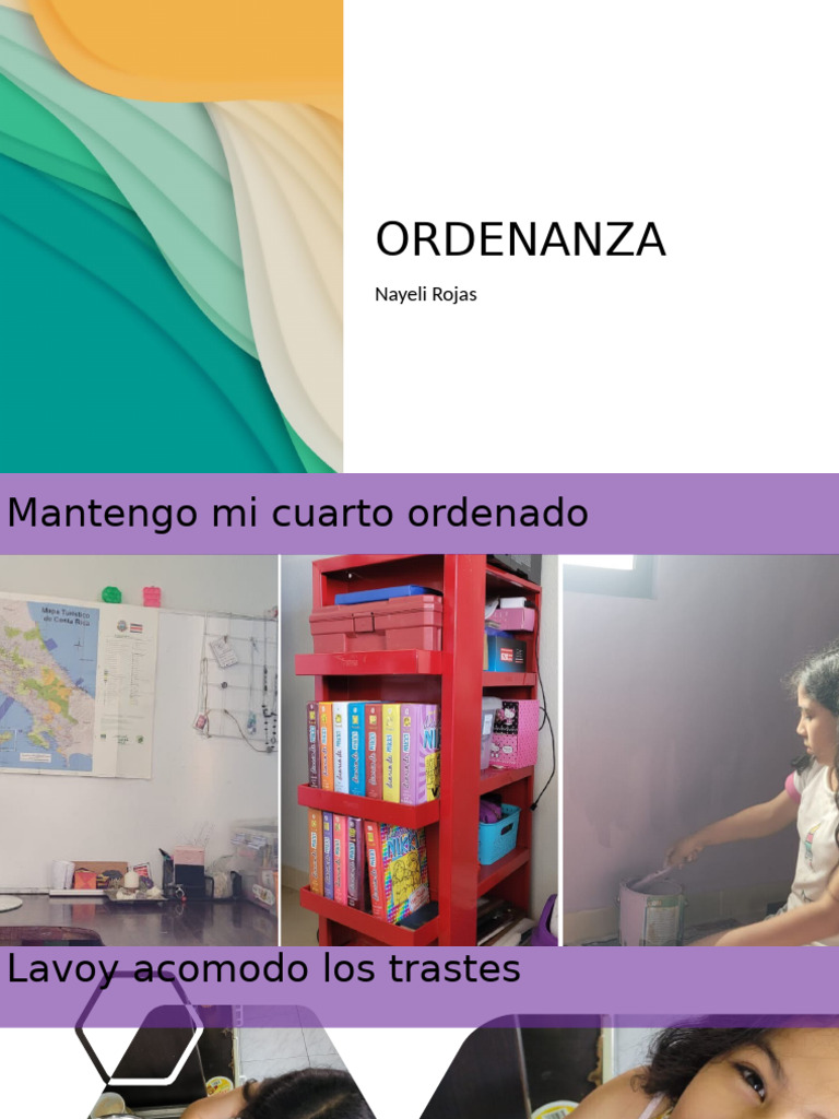 ORDENANZA | PDF