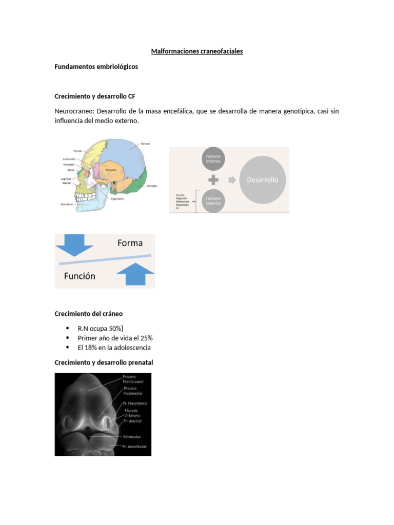 Malformaciones Craneofaciales | PDF