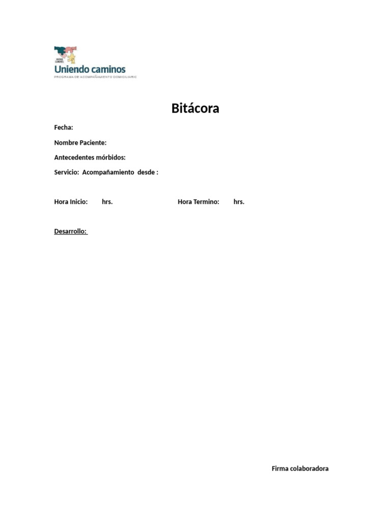 Modelo de Bitácora Cuidados | PDF